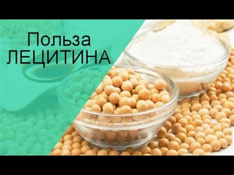 Польза Лецитина - YouTube