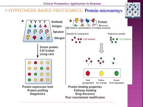 Clinical Proteomics In Diseases Lecture 2014 Pptx