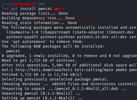 a detailed guide on pwncat