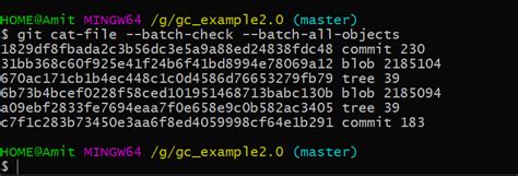 Optimize Your Repository Using Git Gc By Amit Prajapati Codeburst