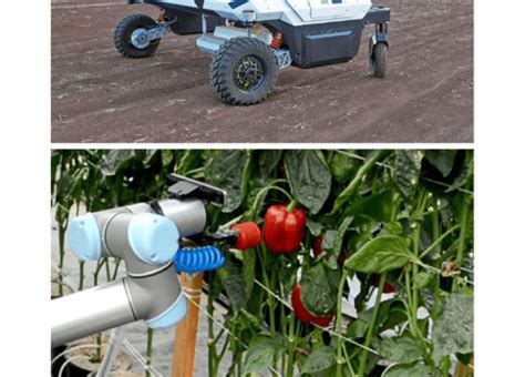 Mixtures Of Lightweight Deep Convolutional Neural Networks Application