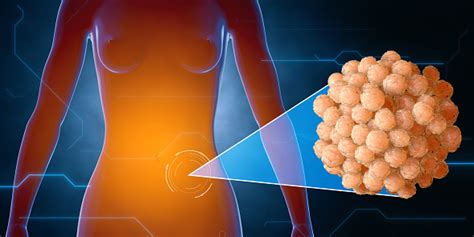 인간의 계란 세포 정자 정자 정자 난로에 떠있는 임신 한 우만 난자에 대한 스톡 사진 및 기타 이미지 난자 마이크로 생물체