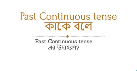 Past Continuous Tense কক বল Past Continuous Tense এর উদহরণ