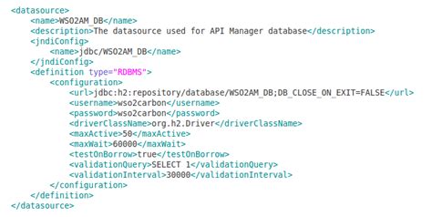 connecting wso2 api manager with different databases
