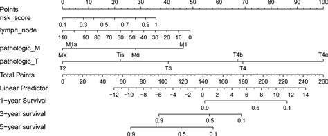 Nomogram Model Based On The Risk Scores The Number Of Lymph Nodes