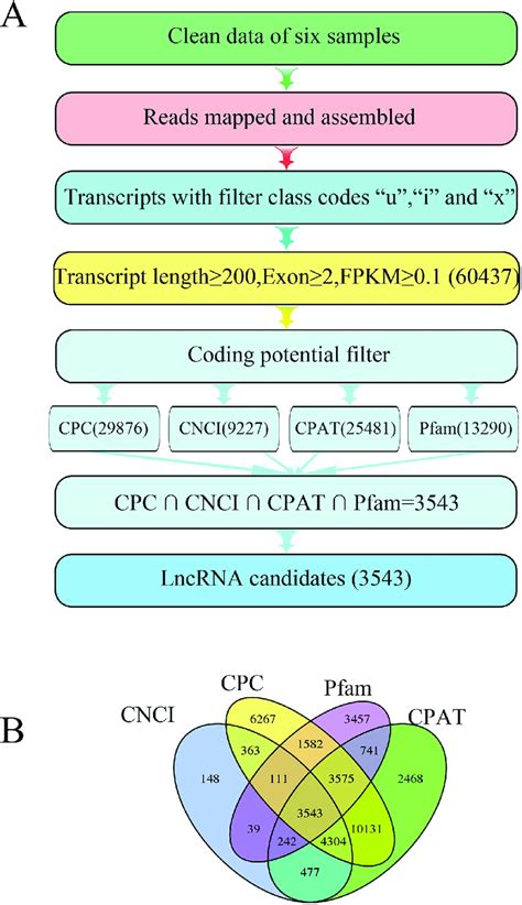 complete computational pipeline for the systematic identification of