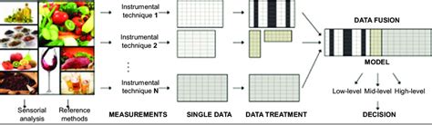 Data Fusion Strategies Used In The Food Quality Assessment Borras Et