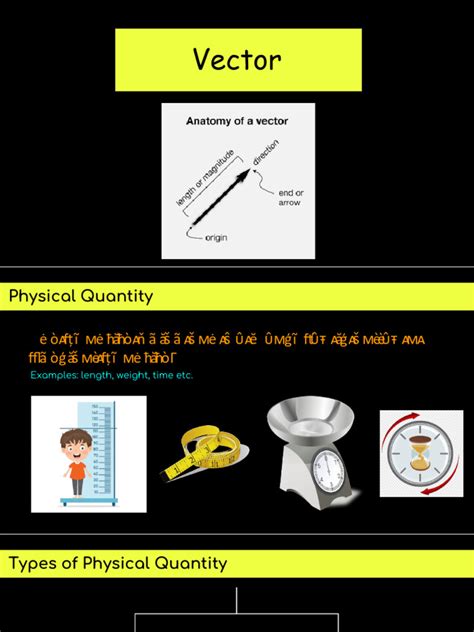 Vector One Shot Pdf Euclidean Vector Quantity