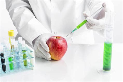 Food Packaging And Food Contact Materials Testing Laboratory In Dubai Uae