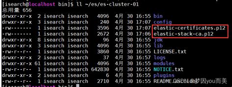 elasticsearch集群配置：启用x pack安全特性和ssl tls证书管理 csdn博客