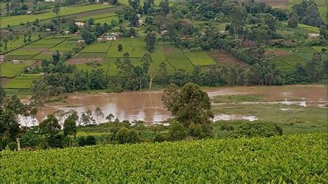 Live Interview With Hon Bernard Kitur Mp Nandi Hills Constituency