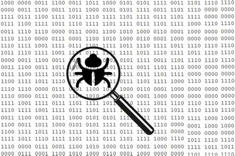 Bug Fixing Removing Software Errors