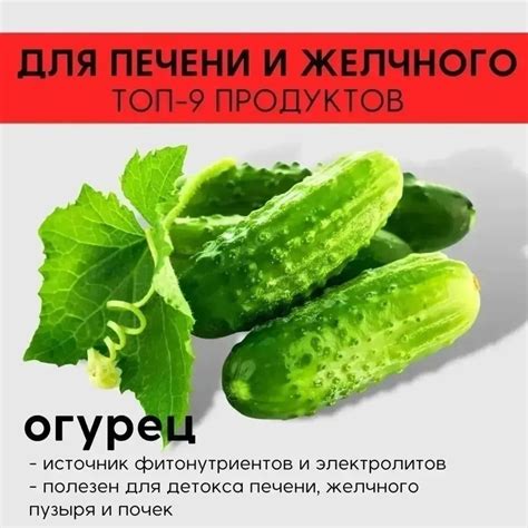 ЖЕНСКАЯ ЙОГА ДОМА🟢ОНЛАЙН ТОП 9️⃣ ПРОДУКТОВ для поддержания функции печени и желчного пузыря