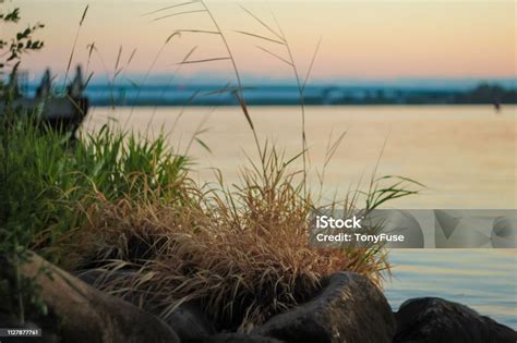 깊은 아침 새벽 빛의 하이라이트와 잔디의 광선에 대 한 강에 여름 일요일의 주황색 광선에 하이라이트와 함께 프리 0명에 대한 스톡 사진 및 기타 이미지 Istock
