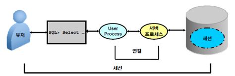 [oracle] db 구조