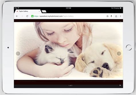 Intranet Glossary Your Handy A Z Guide To Terms And Terminology