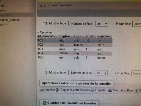 Tabla Base De Datos Y Código En Phpmyadmin