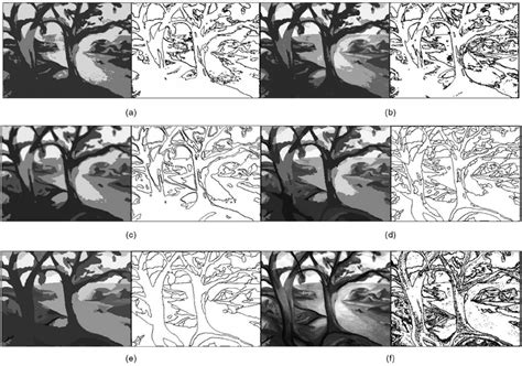 segmented images and region maps of “trees” according to smallest l