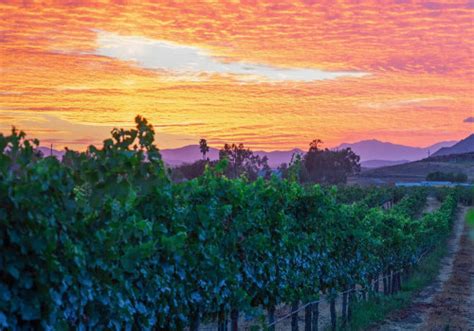 The History Of Temecula Valley From Mexico To Riverside County