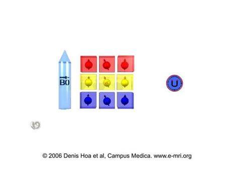 E Mri Spatialencoding Slides Ppt
