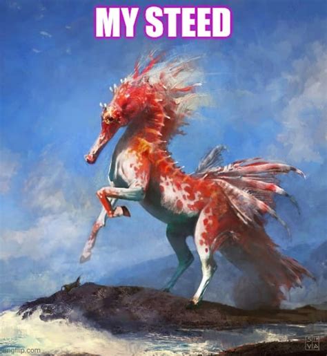 What Are Your Favourite Steeds Teleporting Is Great But Sometimes You