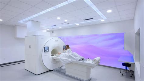 Bamf Health Conducts Michigans First Clinical Petmri Scan Bamf Health