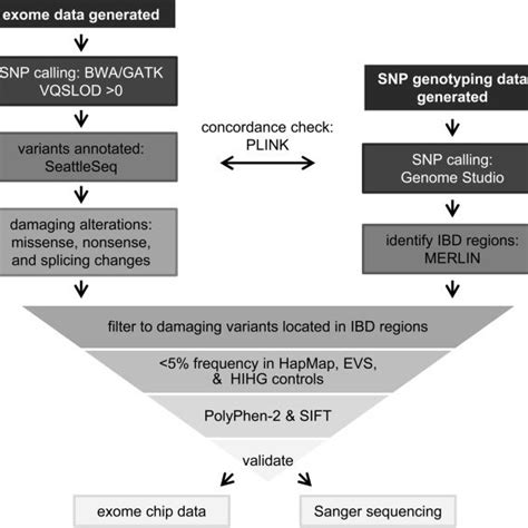 Flowchart Of Sequencing And Filtering Methods To Identify And Download Scientific Diagram