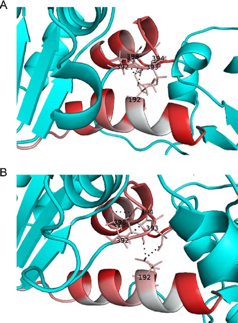 Figure 4 From An Allosteric Signaling Pathway Of Human 3 Phosphoglycerate Kinase From Force