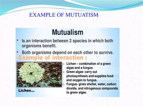 Host Parasite Relationship Pptx
