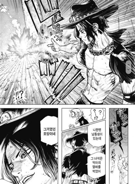 원피스 에이스가 주연인 외전연재시작 유머 움짤 이슈 에펨코리아