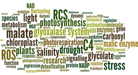 Wordcloud2 Png — Izmb En