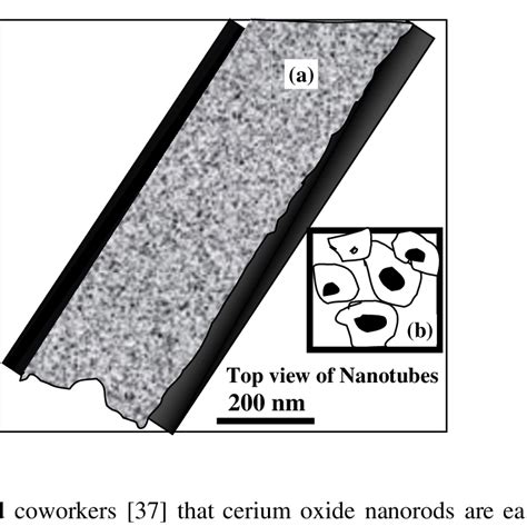 A Schematic Microstructure Of Ce Nt And B Insert Represented As The