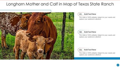 Map Of Texas State Ppt PowerPoint Presentation Complete With Slides