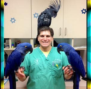 Veterinarian With Bird