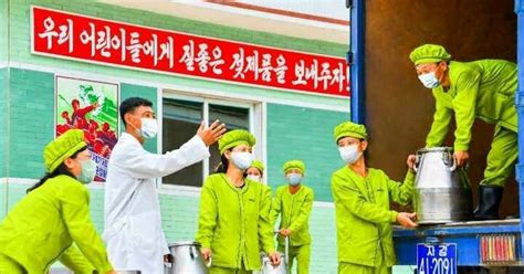 전국 어린이에 유제품 공급하는 북한 사회주의 혜택