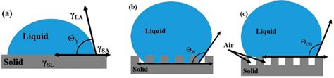 Wetting Behaviour Of Different Wetting Regimes A Youngs Model B