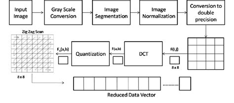 figure1 pre processing and dimensionality reduction download