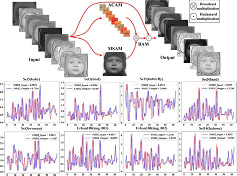 Texture Richness Comparison Between Input And Output Feature Maps Of