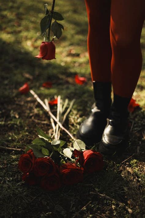 가을 간 경치 계절 그림자 기센 꽃 꽃꽂이 꽃을 자르다 나뭇잎 낭만적인 다리 독일 땅에 있는 장미 떨어지다 미스터리 부츠 부케 분위기 빨간