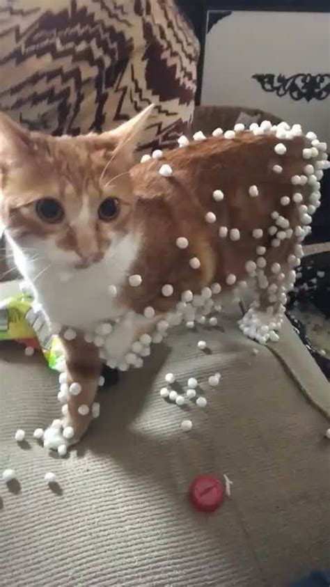 Which Feature Detection Is Used Here Sift Surf Orb Rcomputervision