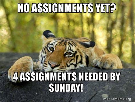 No Assignments Yet 4 Assignments Needed By Sunday Confession Tiger