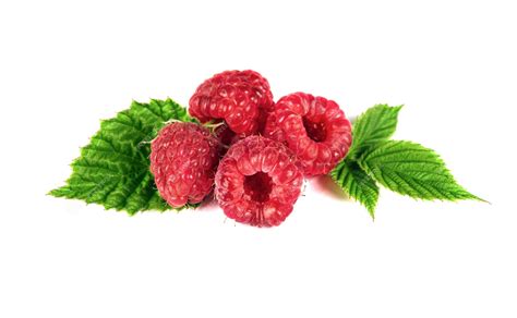 Premium Photo Raspberry Isolated Raspberries With Leaf Isolate Raspberry With Leaf Isolated On