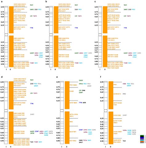 Comparative Maps Of A Cristatum Chromosome 6p In The Six Addition Download Scientific Diagram