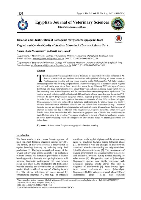 Pdf Isolation And Identification Of Pathogenic Streptococcus Pyogenes From Vaginal And