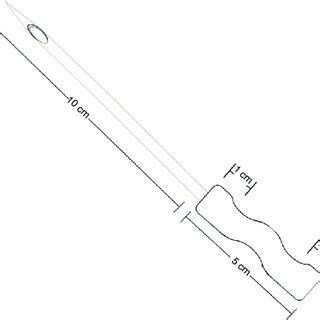 Inserting The Conical End Of The Needle Into Pelvic Cavity Fixing Download Scientific