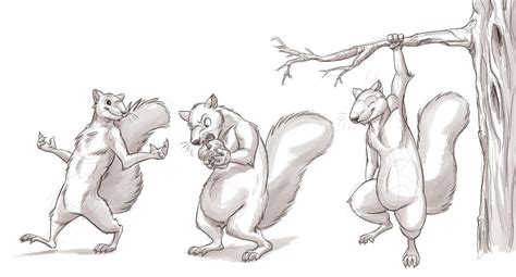 Animal Proportion Practice Squirrel By Temiree On Deviantart