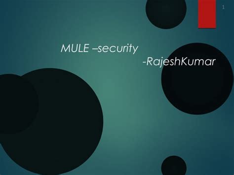 Mule Security Ppt