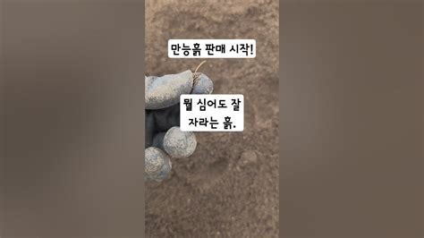뭘 심어도 좋은 만능 흙 제조 끝판매 시작 Youtube