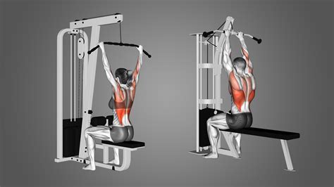Best Lat Pull Down Attachment Your Ultimate Guide For 2024