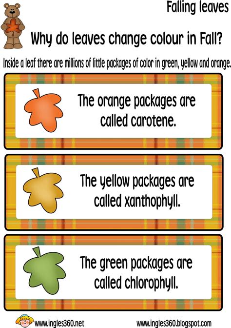 Trees In The Landscape